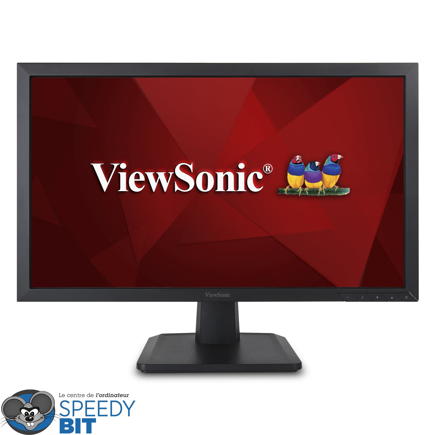 Écran 22 po ViewSonic VA2252SM